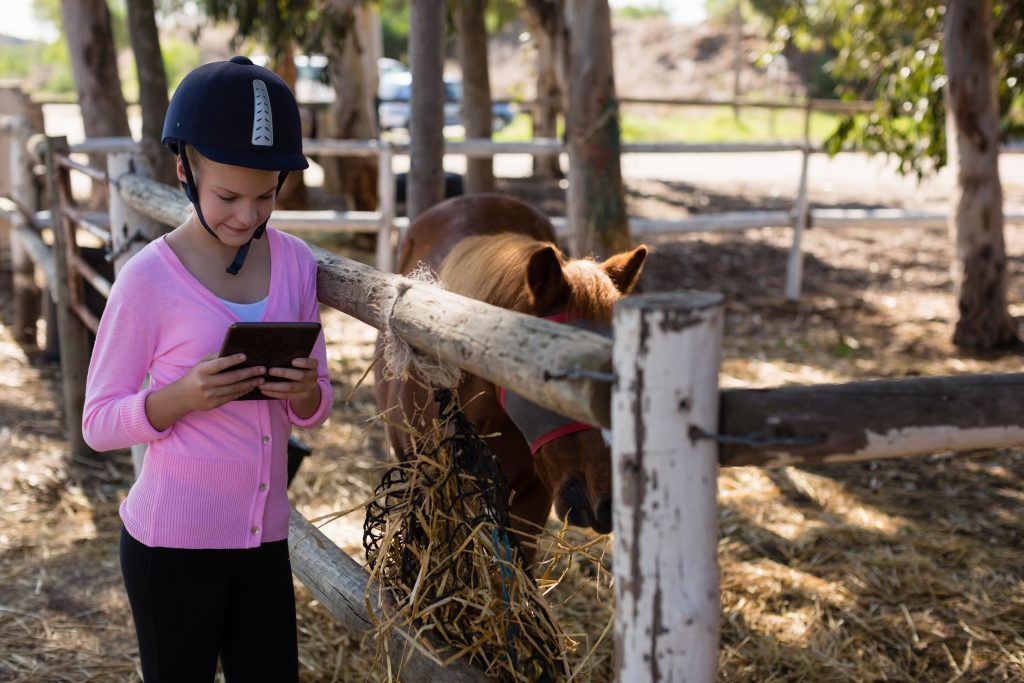 John Whitaker and Milton: A Legendary Partnership - Sparkle Hearts